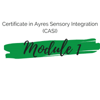 CASI Module 1 - Ayres Sensory Integration Certificate Online